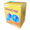 Thuốc Flexcap - Công dụng – Liều dùng - Giá bán – Mua ở đâu?